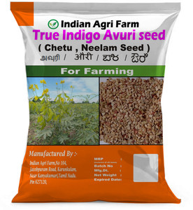IAgriFarm True Indigo seed - 250gram - Neeli Avuri seed / chetu / Neel ...