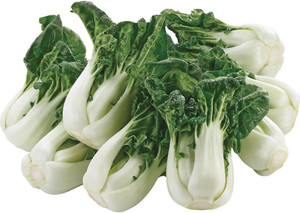 Atlus VEGETABLE | TOY CHOY Pak Choi | Chinese/Asian Variety Seed Price ...