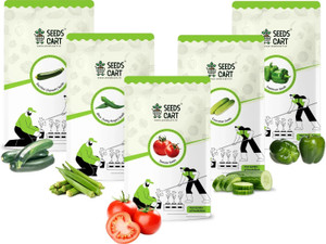 SeedsCart Tomato, Okra (Lady Finger)/Bhindi, Cucumber/Kheera, Capsicum ...
