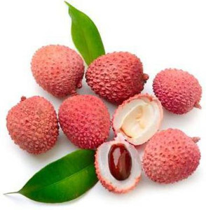 seedx Premium Hybrid Litchi ( Lychee ) Fruit Seed Price in India - Buy ...