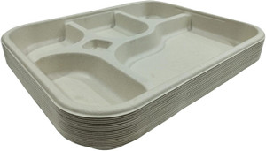 Hriday Foods Rectangular 5 CP Sugarcane Bagasse Plates Sectioned Plate ...