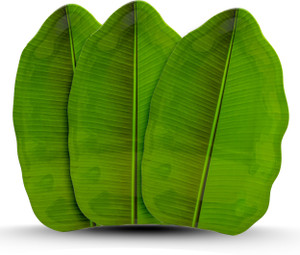 Litware Melamine Banana leaf Serving tray snakes (Size-16.25" X 10.25 ...
