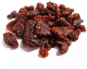 Urancia Natural Lac lacca Lakh Gum Coccus Lacca Collected by Tribals ...