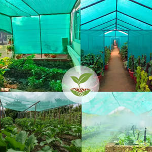 Greenery Heavy Duty Green Net(4.5mtr*10mtr) Portable Green House Price ...