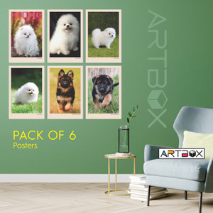 Dog Posters for Wall Decoration, Dogs Poster, Cute Puppy Posters Fine ...