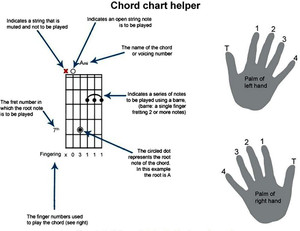 Poster Learn How To Read A Chord Box Diagram Acoustic Guitar Bar Chart ...