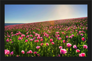 Flower Scenery Nature Poster with A4 Size Frame F-197 Paper Print ...