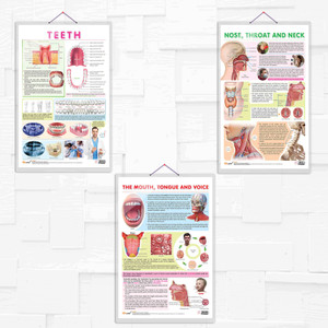 TEETH chart and NOSE, THROAT AND NECK chart and THE MOUTH, TONGUE AND ...