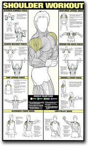 Wall Poster Shoulder Workout and Exercises Illustrations Bodybuilding ...