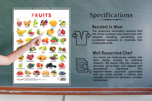 ALPHABET CHART HARD LAMINATED, FRUITS CHART HARD LAMINATED, and NUMBER ...