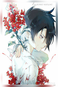 Anime Yakusoku No Neverland Anime Boys The Promised Neverland Ray The ...