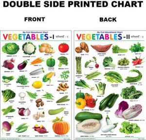 Both Side Printed VEGETABLE CHART for Kids | Non Tearable Learning ...