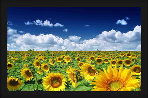 Flower Scenery Nature Poster with A4 Size Frame F-195 Paper Print ...