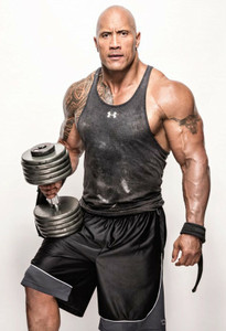 Poster Dwayne Johnson Weights Workout S Hollywood Star sl-17137 (Wall ...