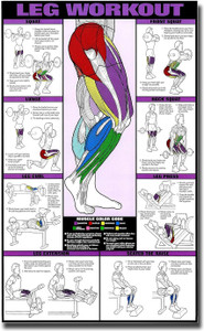 Wall Poster Legs and Thighs Workout and Exercises Illustrations ...