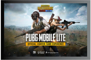 Pubg Game Frame Poster For Room Synthetic Wood Gloss Lamination F61 ...