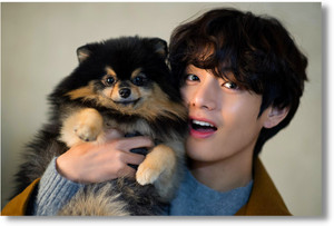 BTS V POSTER (13x19 Inches) 300 GSM Wall Poster | BTS Wall Decor | BTS ...