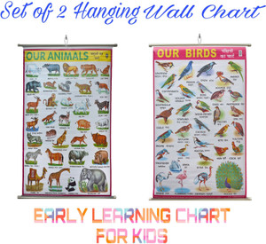 Combo Our Animals & Our Birds Wall Chart (Size 100X75 CM) Perfect For ...