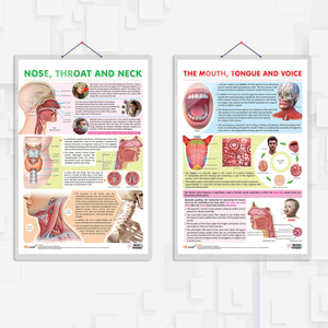 NOSE, THROAT AND NECK chart and THE MOUTH, TONGUE AND VOICE chart ...