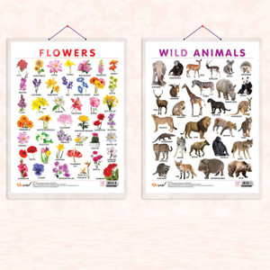 FLOWERS CHART HARD LAMINATED and WILD ANIMALS CHART HARD LAMINATED ...