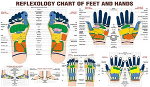 Reflexology Chart Eng. Paper Print (18 inch X 12 inch) Fine Art Print ...