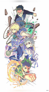 Hisoka Hunter X Hunter Matte Finish Poster P-10895 Paper Print ...