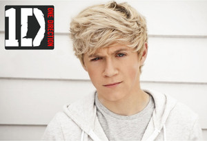 Poster Niall Horan One Direction sl-14821 (LARGE Poster, 36x24 Inches ...