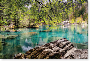 Nature Wall Poster 3M Double Sided Tape Wall Design High Resolution ...