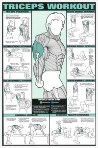 TCS-GYM poster -006self adhesive vinyl size :24"x36" Photographic Paper ...