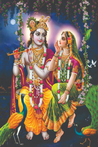 Lord Radha Krishna Poster (12x18 Inch, 300GSM Thick Paper with Gross ...