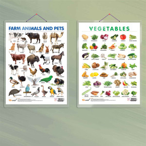 FARM ANIMALS AND PETS CHART HARD LAMINATED and VEGETABLE CHART HARD ...