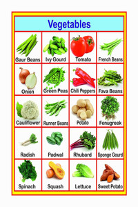 Vegetables Name Chart Poster with Gloss Lamination Paper Print ...
