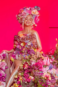 Katy Perry Poster for Room Wall Decoration, Size - 12 X 18 inches || EB ...