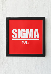 Sigma Male Photographic Paper - TV Series posters in India - Buy art ...