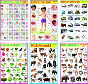 Educational Charts Set for Kids (Pack of 6) for Kids' Development ...