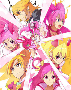 Precure Pretty Cure Anime Series hd Matte Finish Poster Print Paper ...