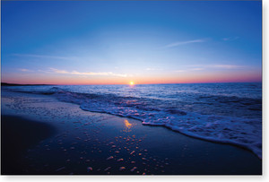 Nature Wall Poster 3M Double Sided Tape Wall Design High Resolution ...