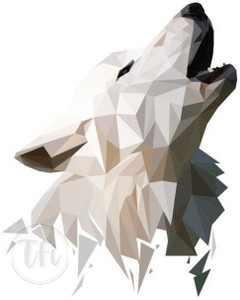 Wolf Poster | Wolf Posters for Room | Unframed | With Self Adhesive ...