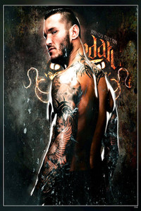 Randy Orton Fine Art Matte Finish Poster Paper Print - Animation ...