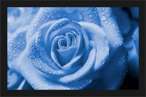 Flower Scenery Nature Poster with A4 Size Frame F-208 Paper Print ...