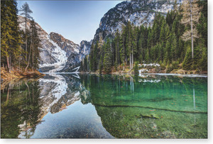 Nature Wall Poster 3M Double Sided Tape Wall Design High Resolution ...