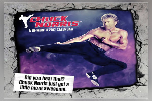Chuck Norris Matte Finish Poster Paper Print - Animation & Cartoons ...