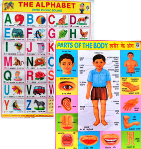 Combo Pack: ABC Alphabet Learning Chart + Human Body Parts Chart for ...