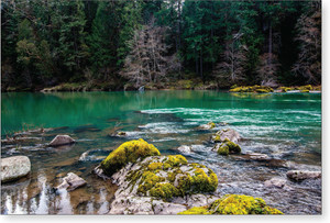 Nature Wall Poster 3M Double Sided Tape Wall Design High Resolution ...