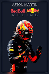 Max Verstappen F1 Formula1 Redbull Redbull Racing Matte Finish Poster P ...