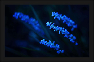 Flower Scenery Nature Poster with A4 Size Frame F-175 Paper Print ...