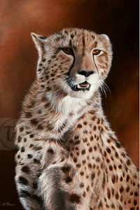 Cheetah Poster | Cheetah Posters for Room | Unframed | With Self ...