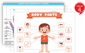 human body parts, educational poster for school,school poster for kids ...