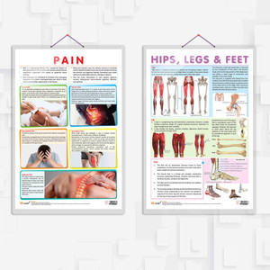 PAIN chart andhand HIPS, LEGS AND FEET chart | combo of 2 Charts | A ...