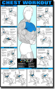 Wall Poster Chest Workout and Exercises Illustrations Bodybuilding ...
